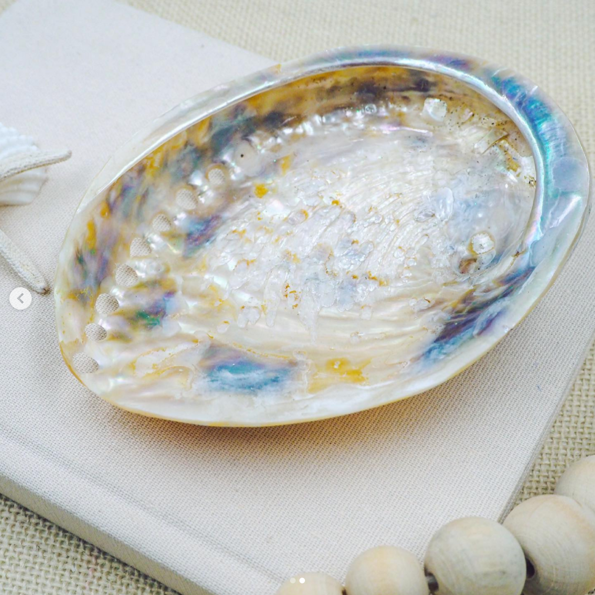 Natural Pink and Pearl White Abalone Shell – Peek A Blue