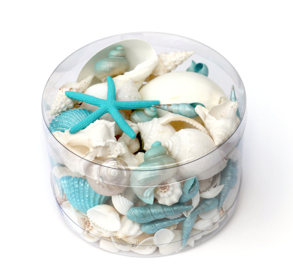 Premium Seashell Pack - Aqua Mist – Peek A Blue