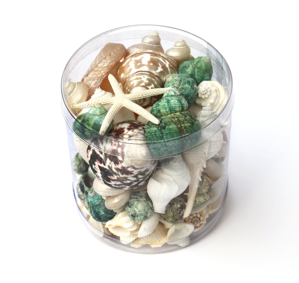 Premium Seashell Pack - Green Jade – Peek A Blue