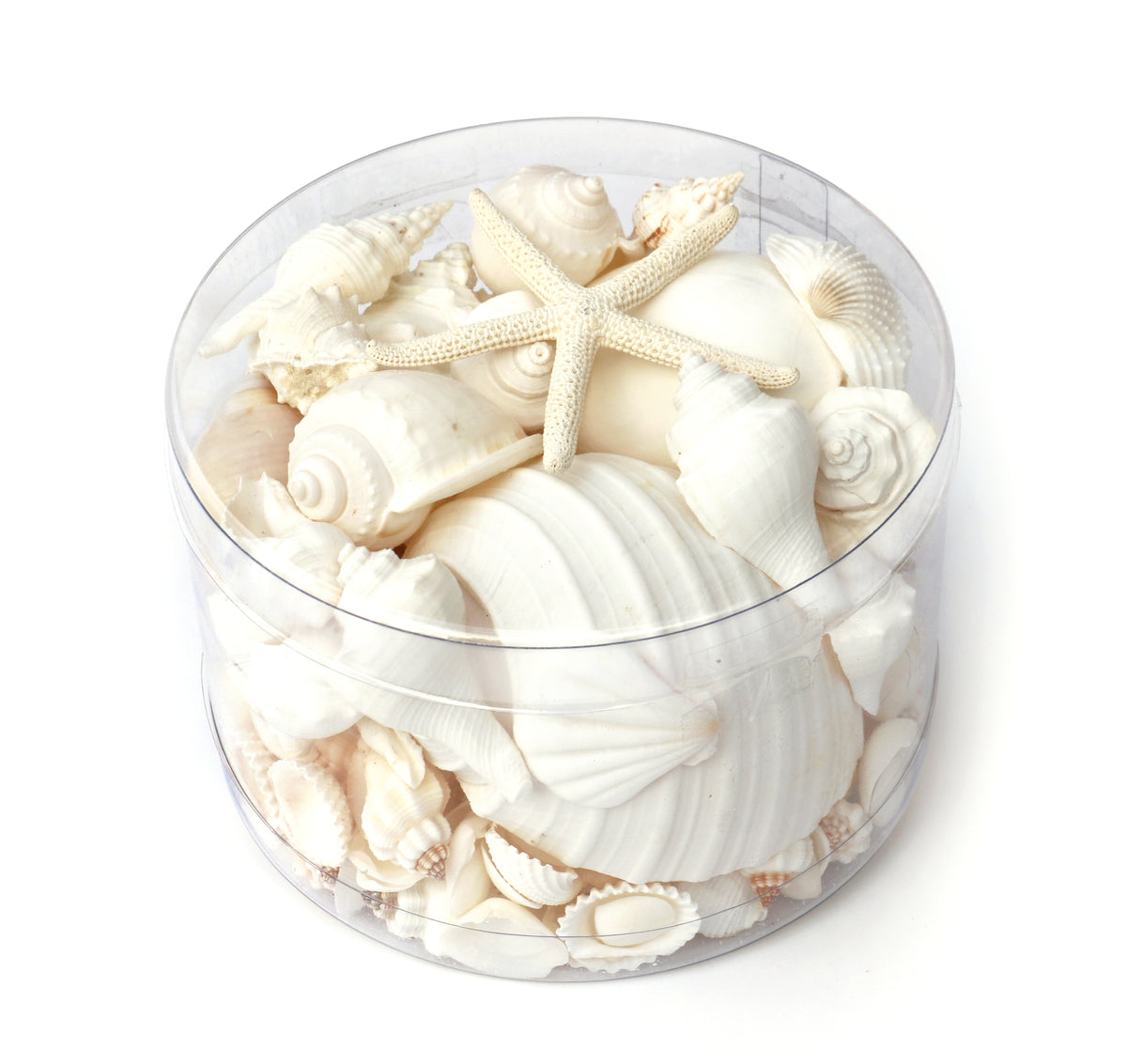 Premium Seashell Pack - White Whisper – Peek A Blue