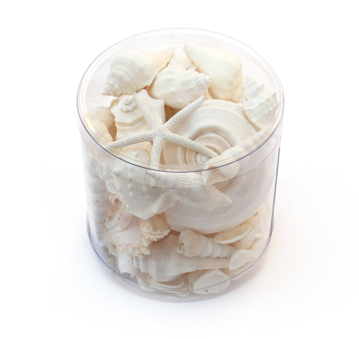 Premium Seashell Pack - White Whisper – Peek A Blue