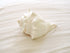 White Heavy Conch Seashell – Peek A Blue