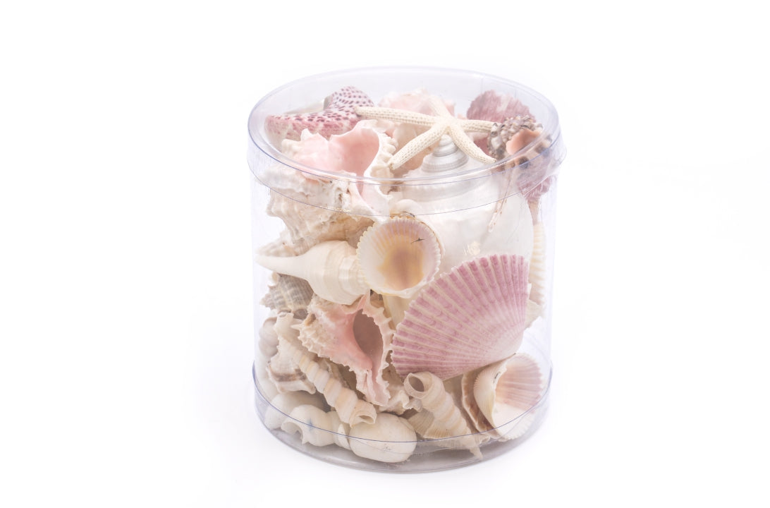 Premium Seashell Pack - Pink Glory – Peek A Blue