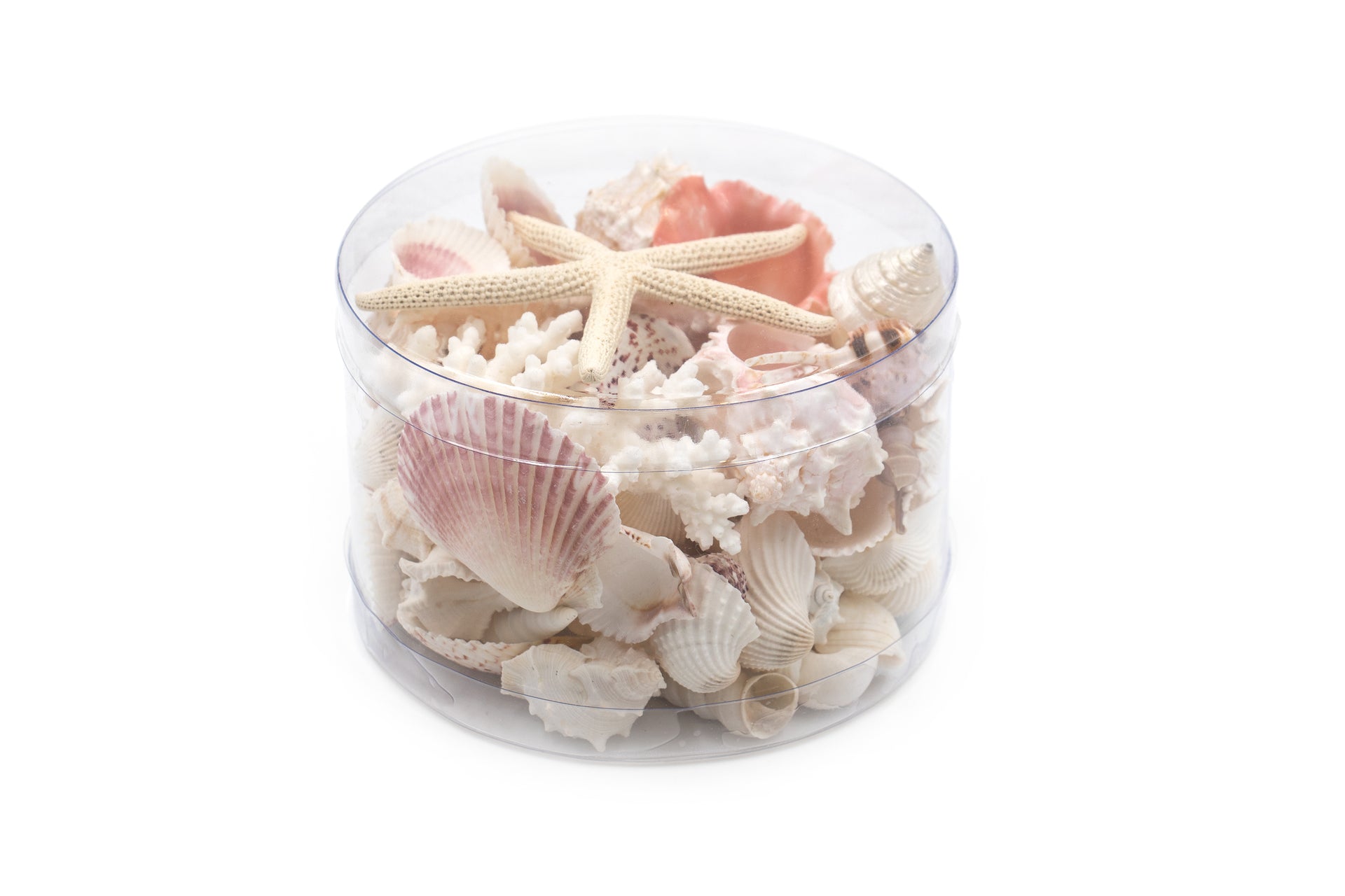 Premium Coral and Seashell Pack - Pink Glory – Peek A Blue