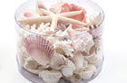 Premium Coral and Seashell Pack - Pink Glory – Peek A Blue