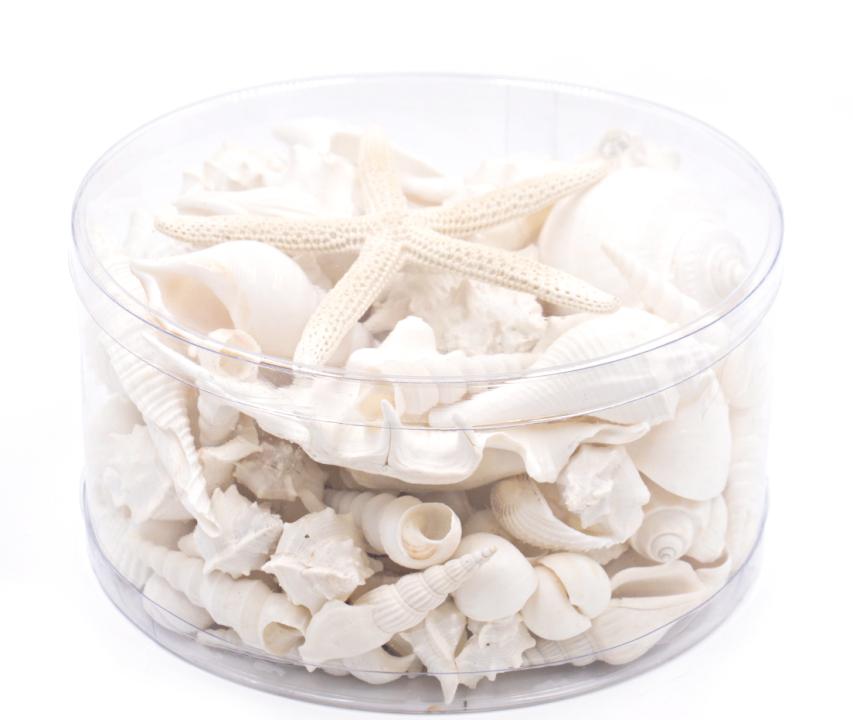 Premium Seashell Pack - White Whisper – Peek A Blue