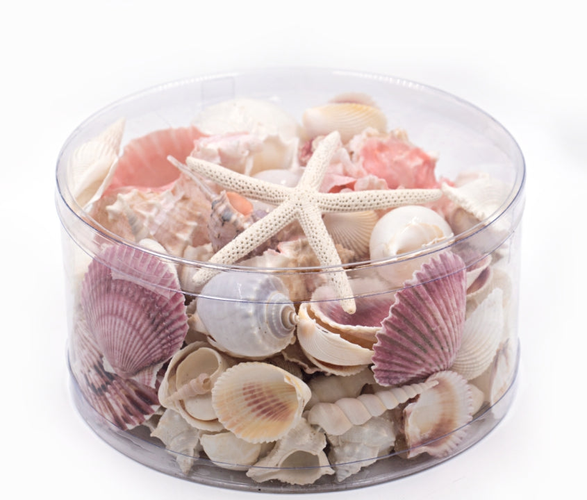 Premium Seashell Pack - Pink Glory – Peek A Blue